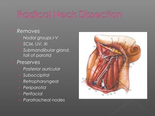 Neck dissections | PPT