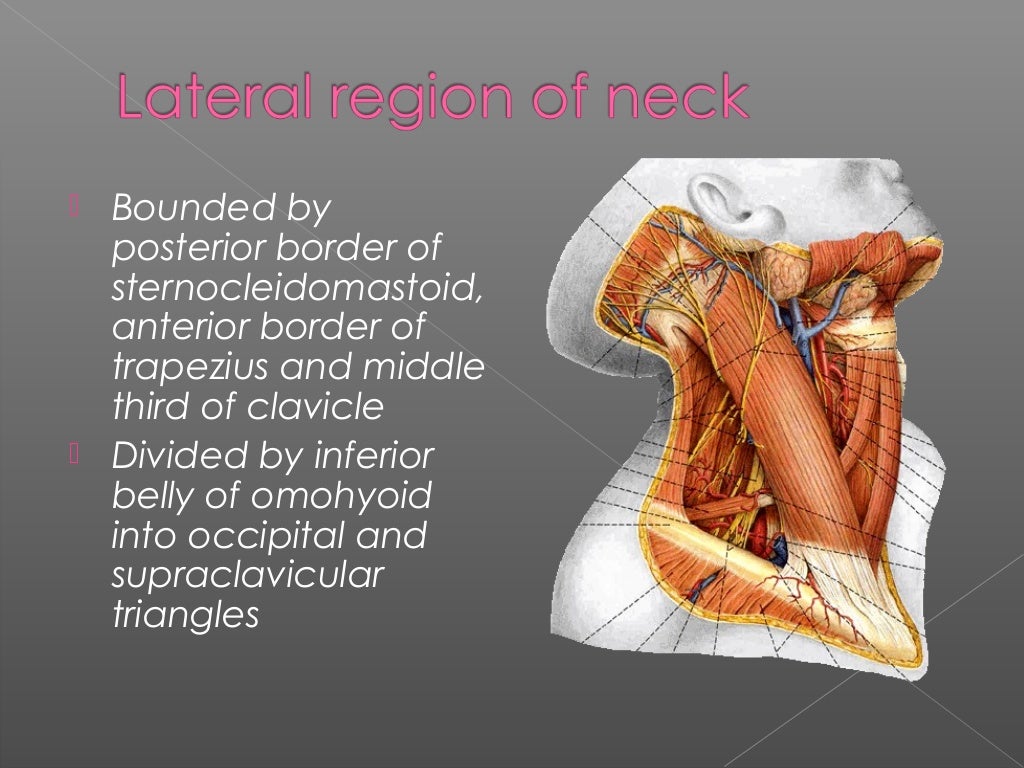 Neck dissections