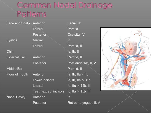 Neck dissections