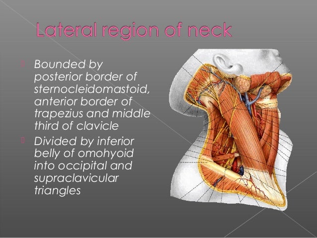 Neck dissections
