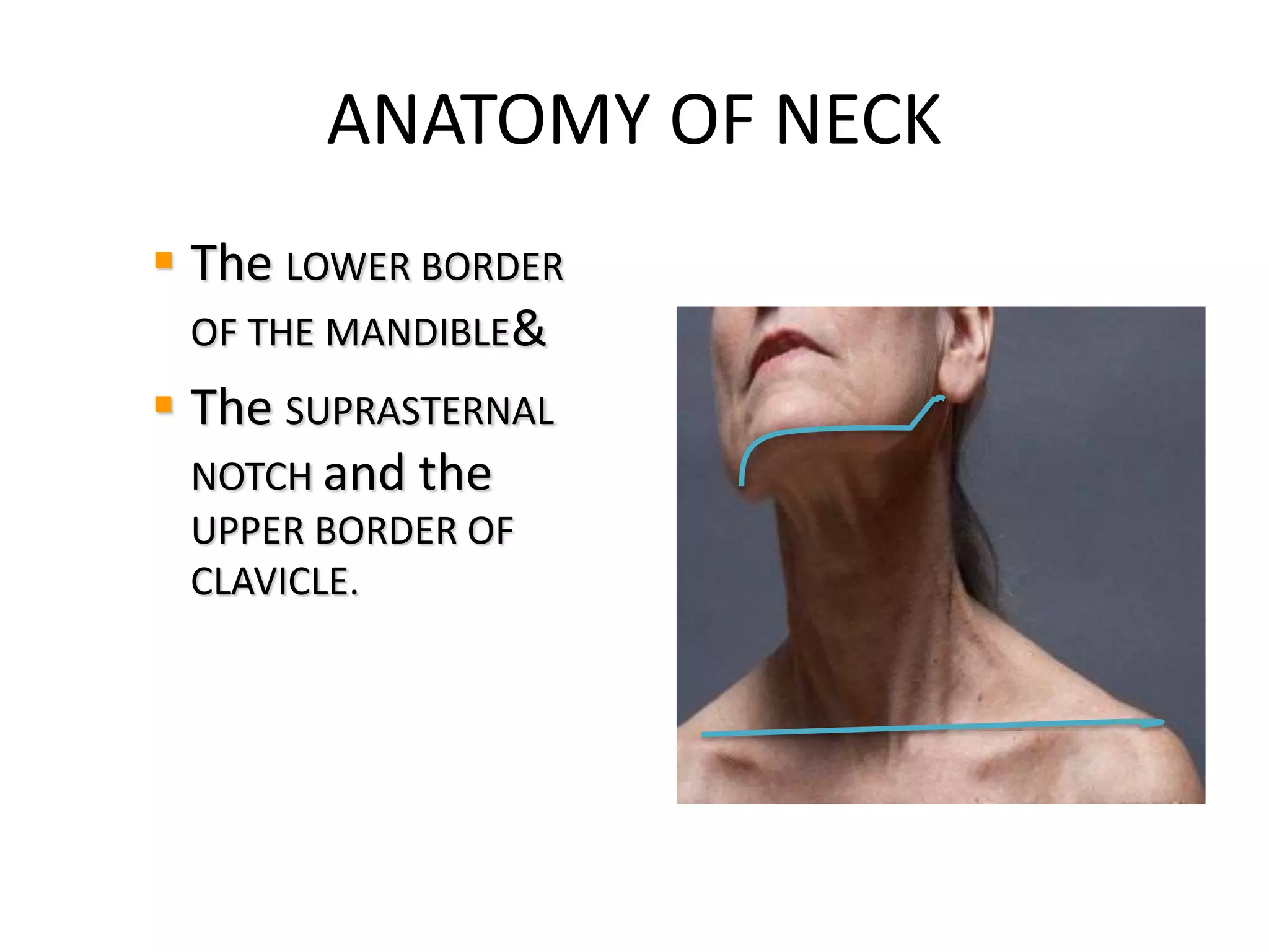 Neck dissections | PPTX
