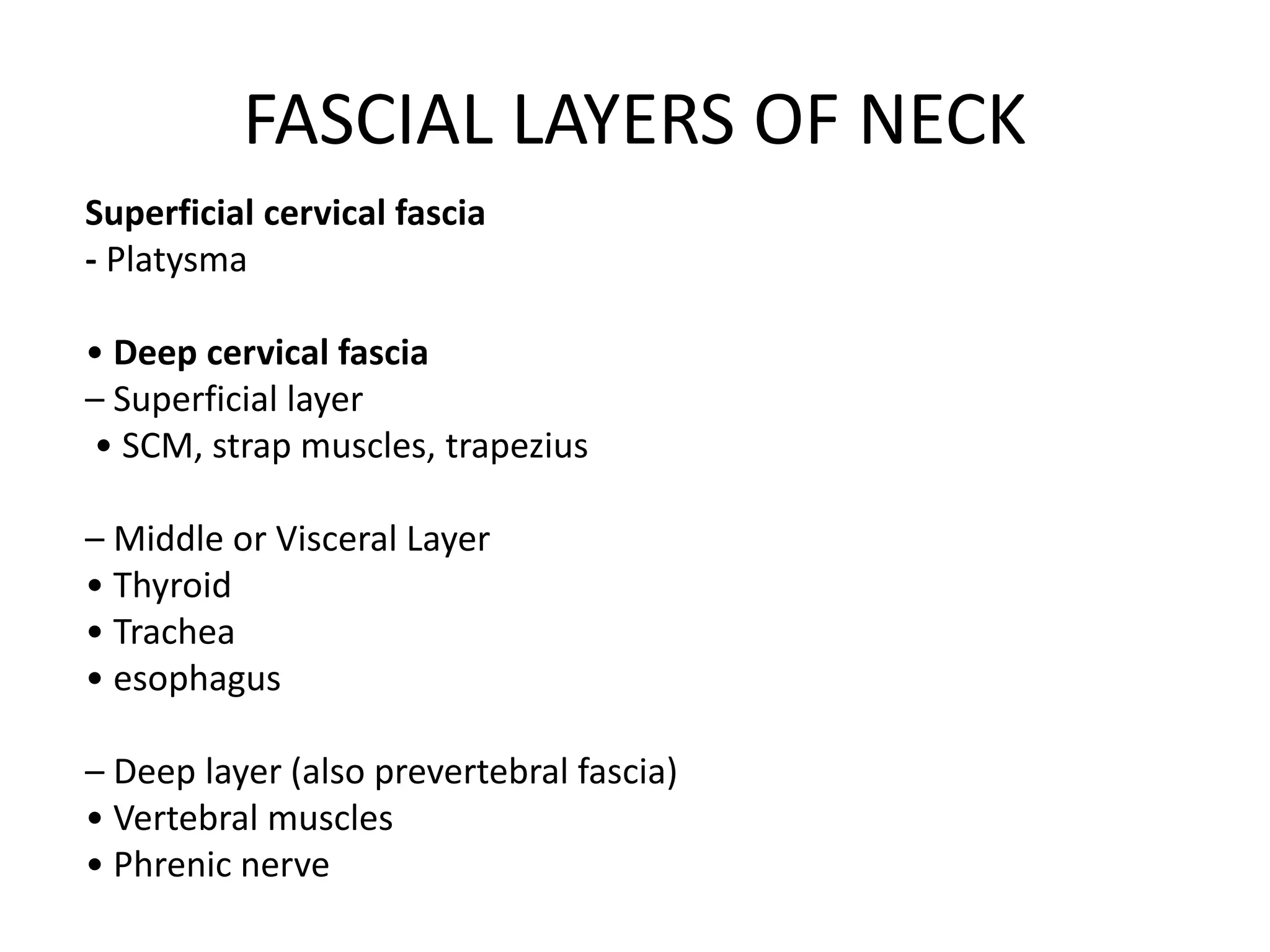 Neck dissections | PPTX
