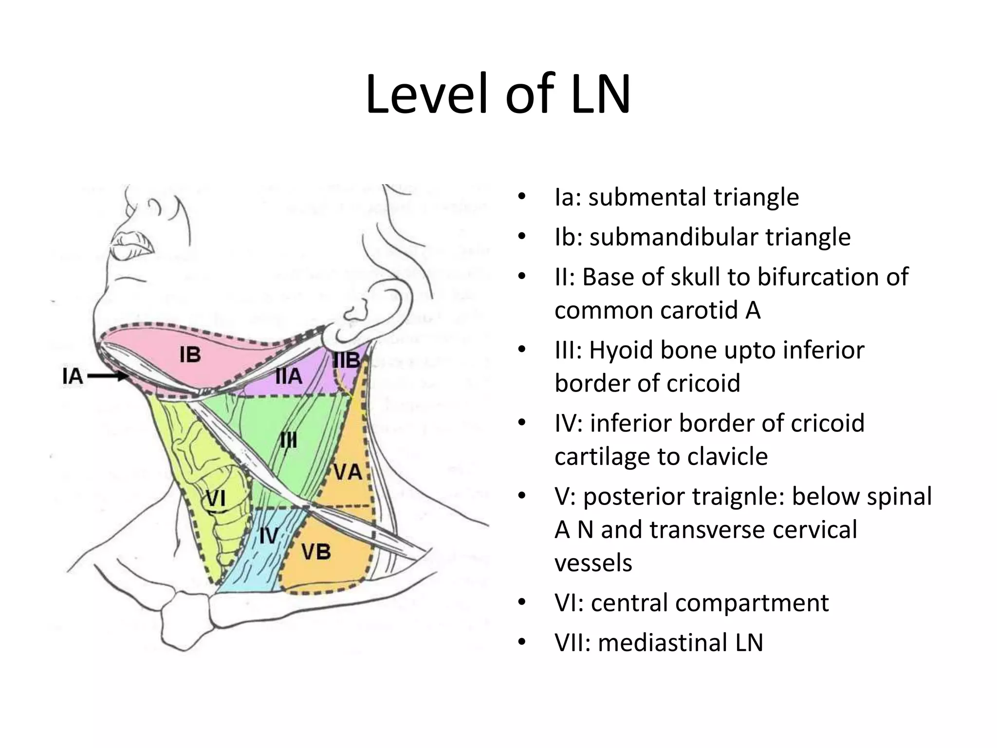Neck dissections | PPTX