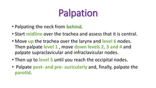 NECK Exam.pptx