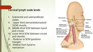 neck exam.pptx cervical lymph node examination | PPTX