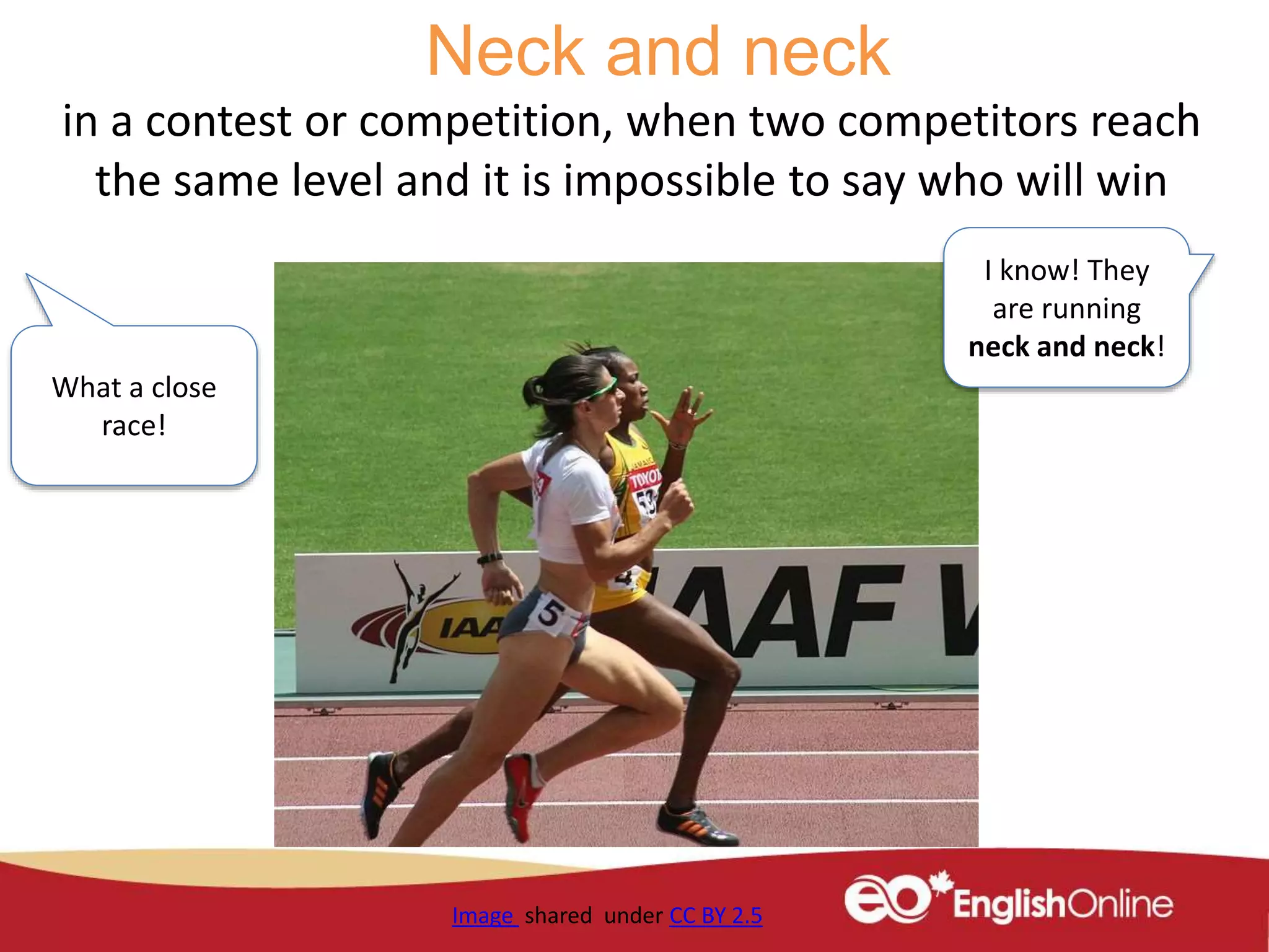 Neck idiom power points | PPTX