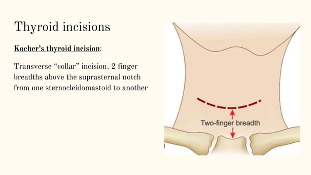 Neck incisions.pptx | Thyroid Disorders | Endocrine and Metabolic Diseases