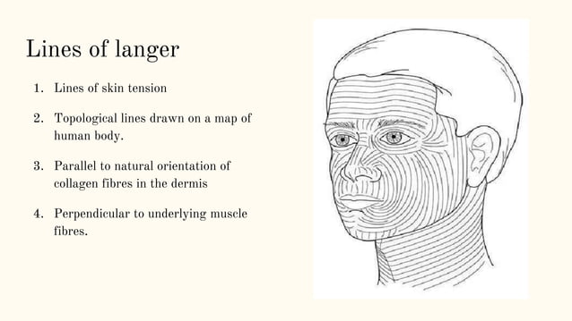 Neck incisions.pptx | Thyroid Disorders | Endocrine and Metabolic Diseases