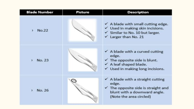 Neck incisions.pptx | Thyroid Disorders | Endocrine and Metabolic Diseases