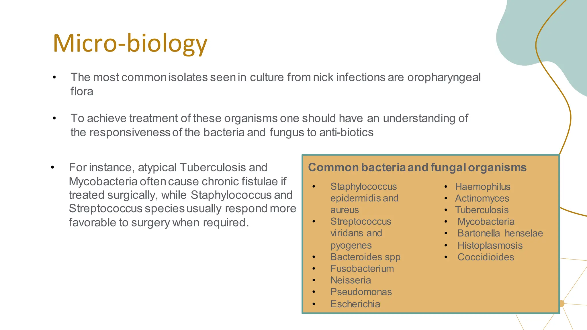 neck infections - neck infections neck infection | PDF