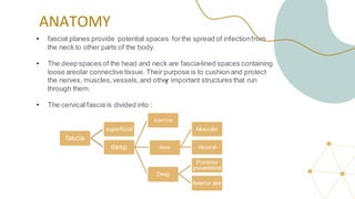 neck infections - neck infections neck infection | PDF
