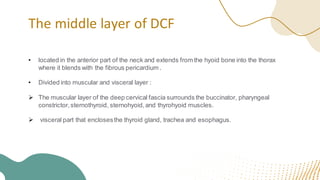 neck infections - neck infections neck infection | PDF