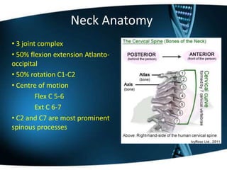 Neck Injuries in Sports | PPTX