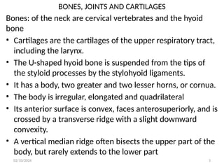 neck intro.pptx HUMAN ANATOMY HEAD AND NECK | PPTX
