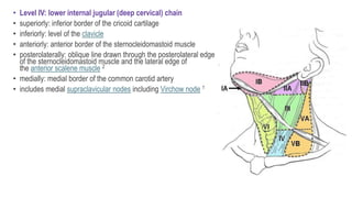 Neck Levels.. a presentation of the various Neck Levels | PPTX