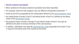 Neck Levels.. a presentation of the various Neck Levels | PPTX