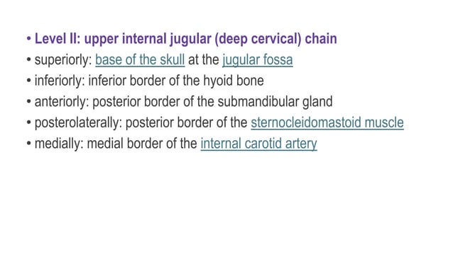Neck Levels.. a presentation of the various Neck Levels | PPTX ...