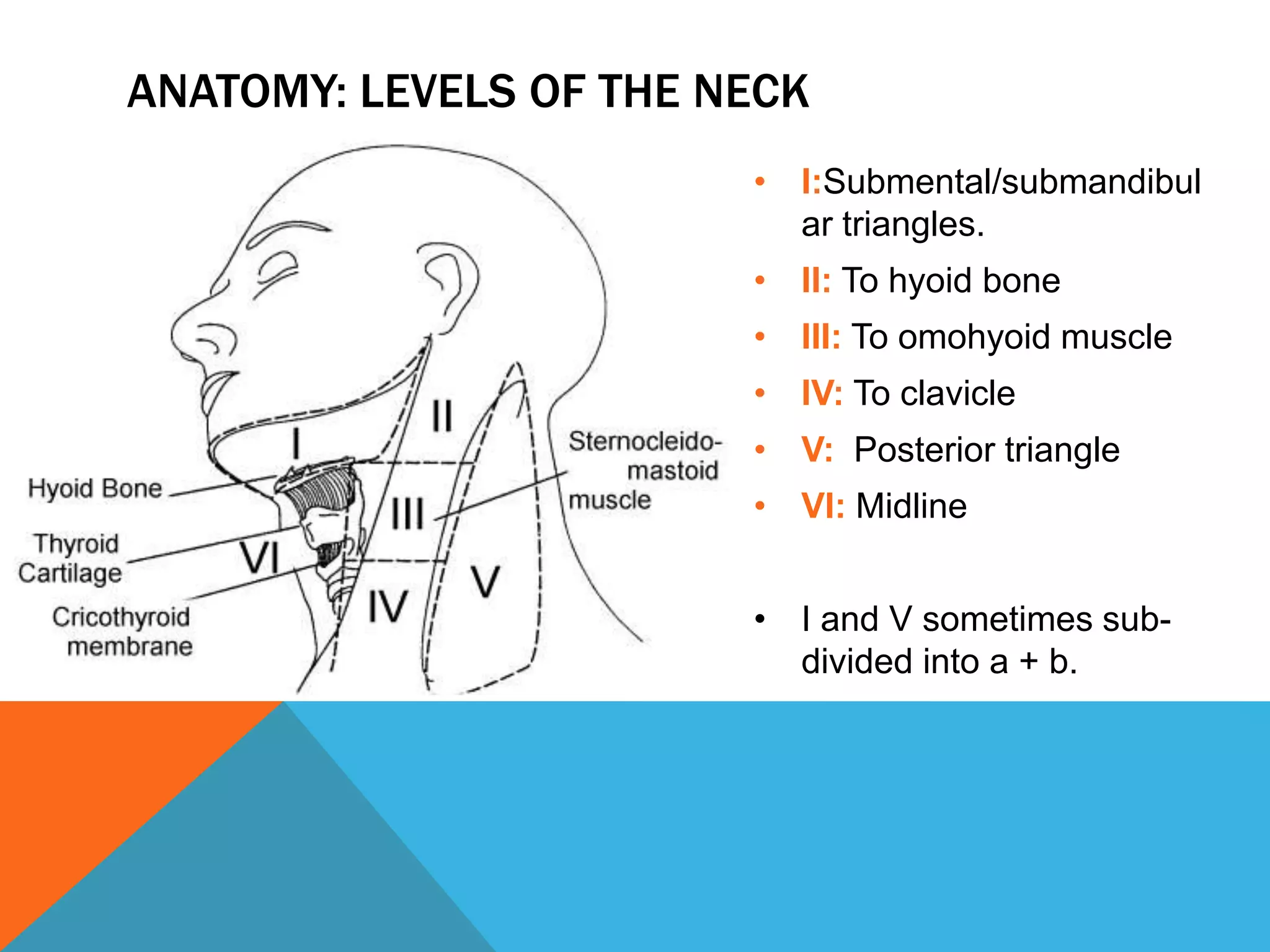 Neck lumps | PPTX