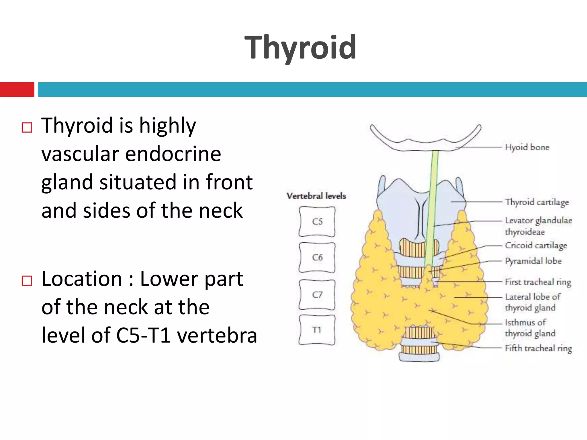 Neck Lump - A Case of Nodular Goitre | PPTX