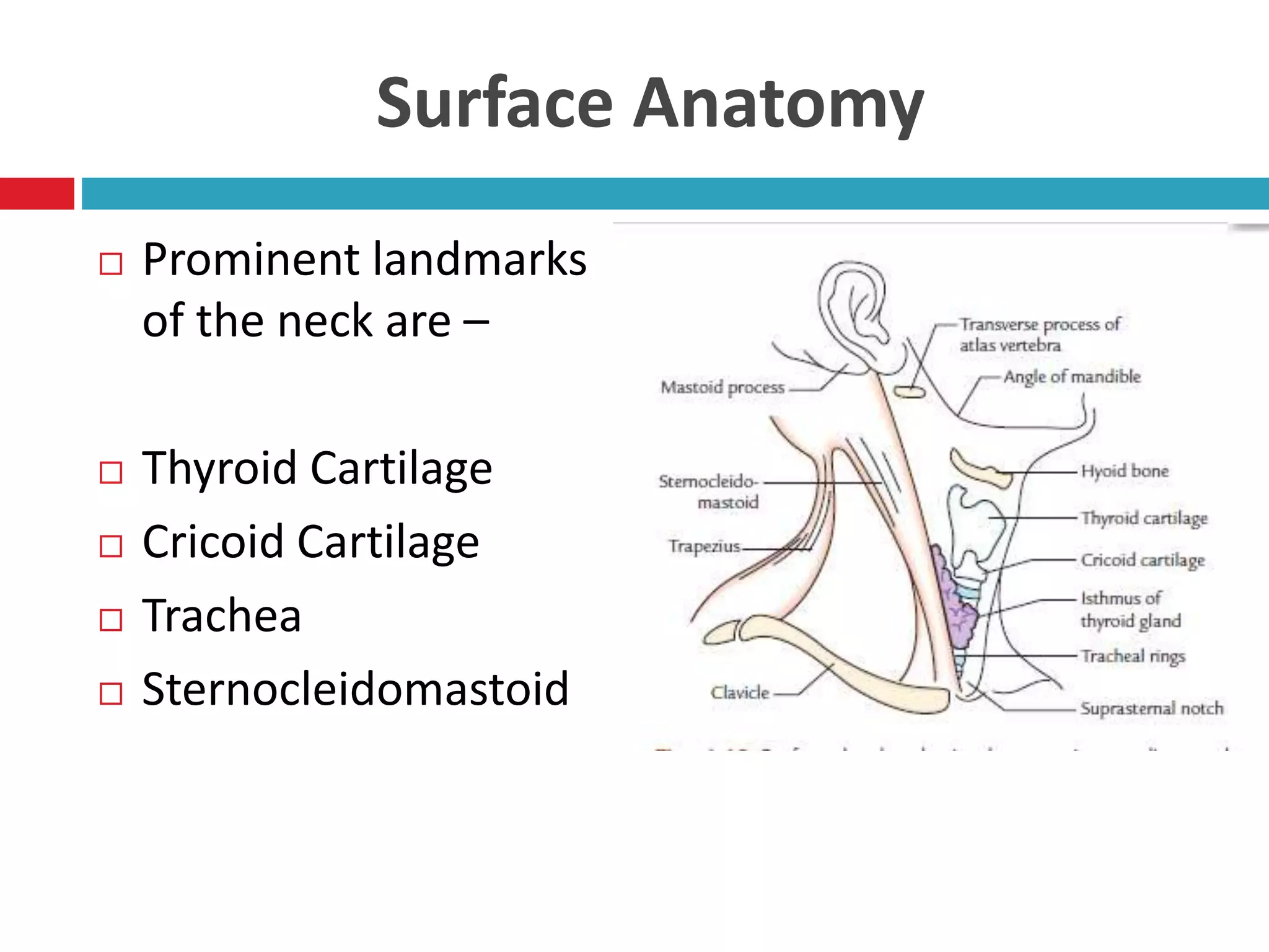 Neck Lump - A Case of Nodular Goitre | PPTX