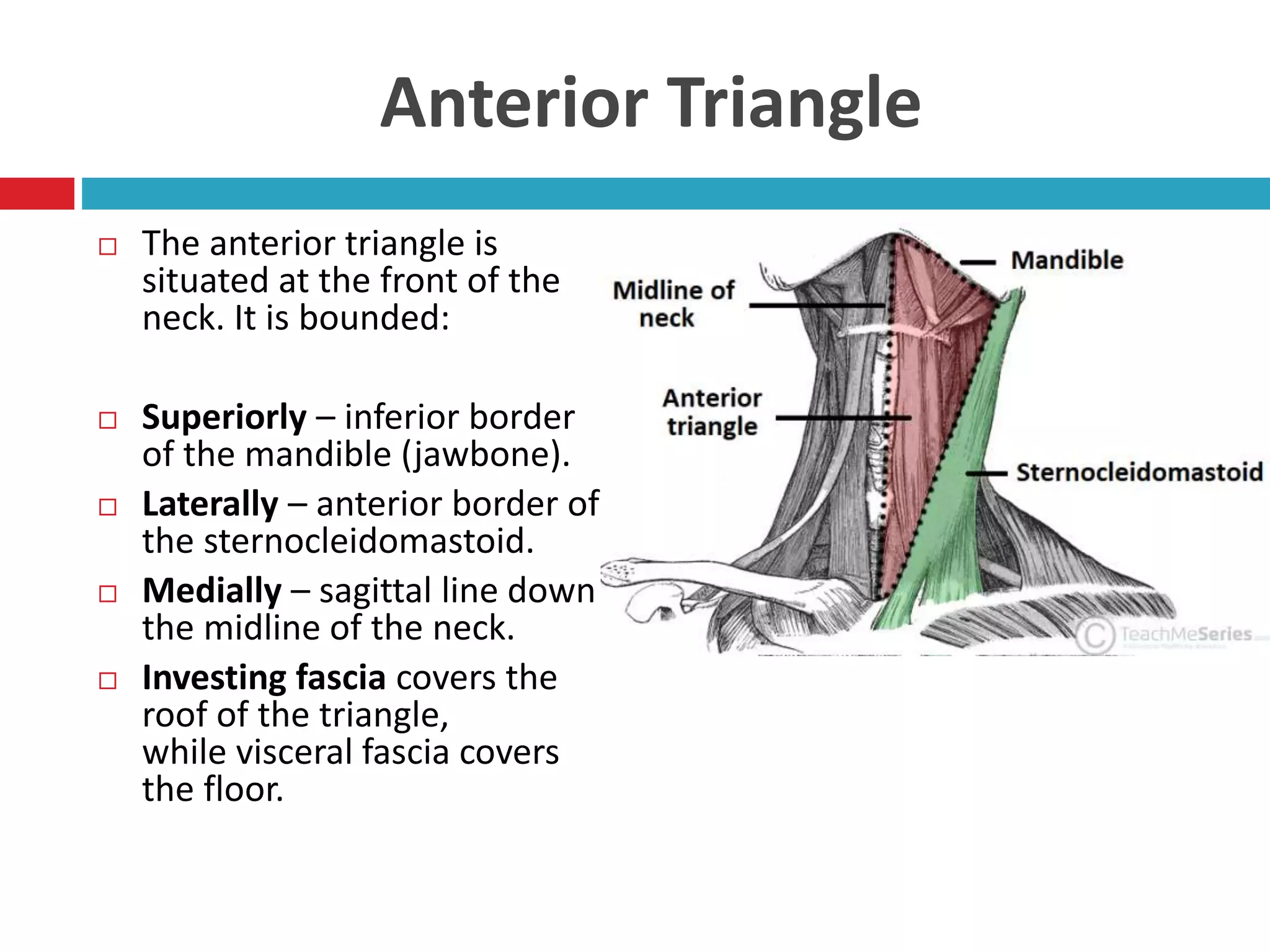 Neck Lump - A Case of Nodular Goitre | PPTX