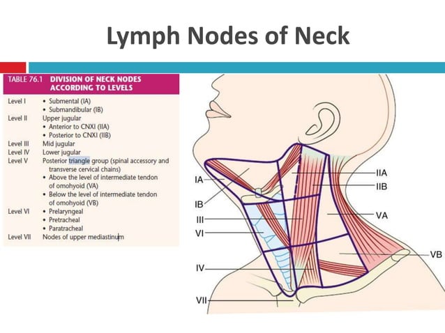 Neck Lump - A Case of Nodular Goitre | PPT