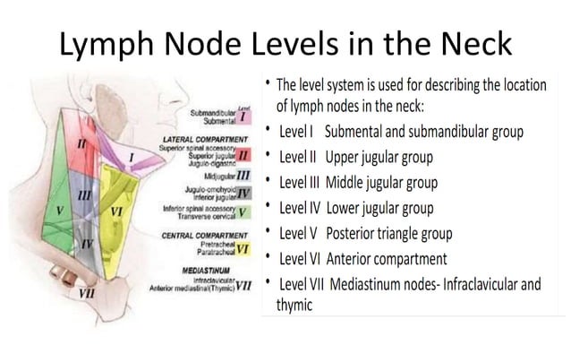 Neck mass approach | PPTX