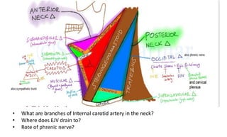 Neck mass approach | PPT