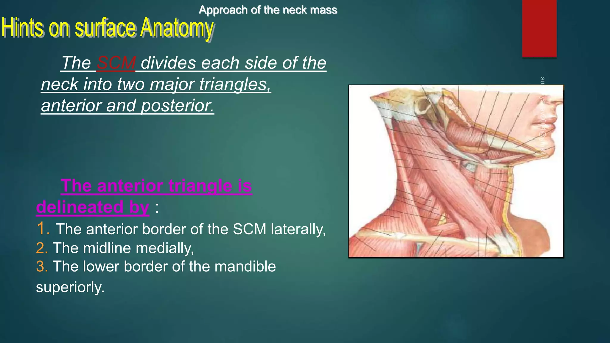 Neck mass differential diagnosis | PPTX