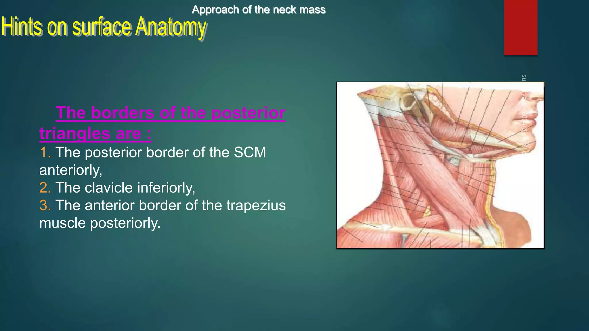 Neck mass differential diagnosis | PPTX