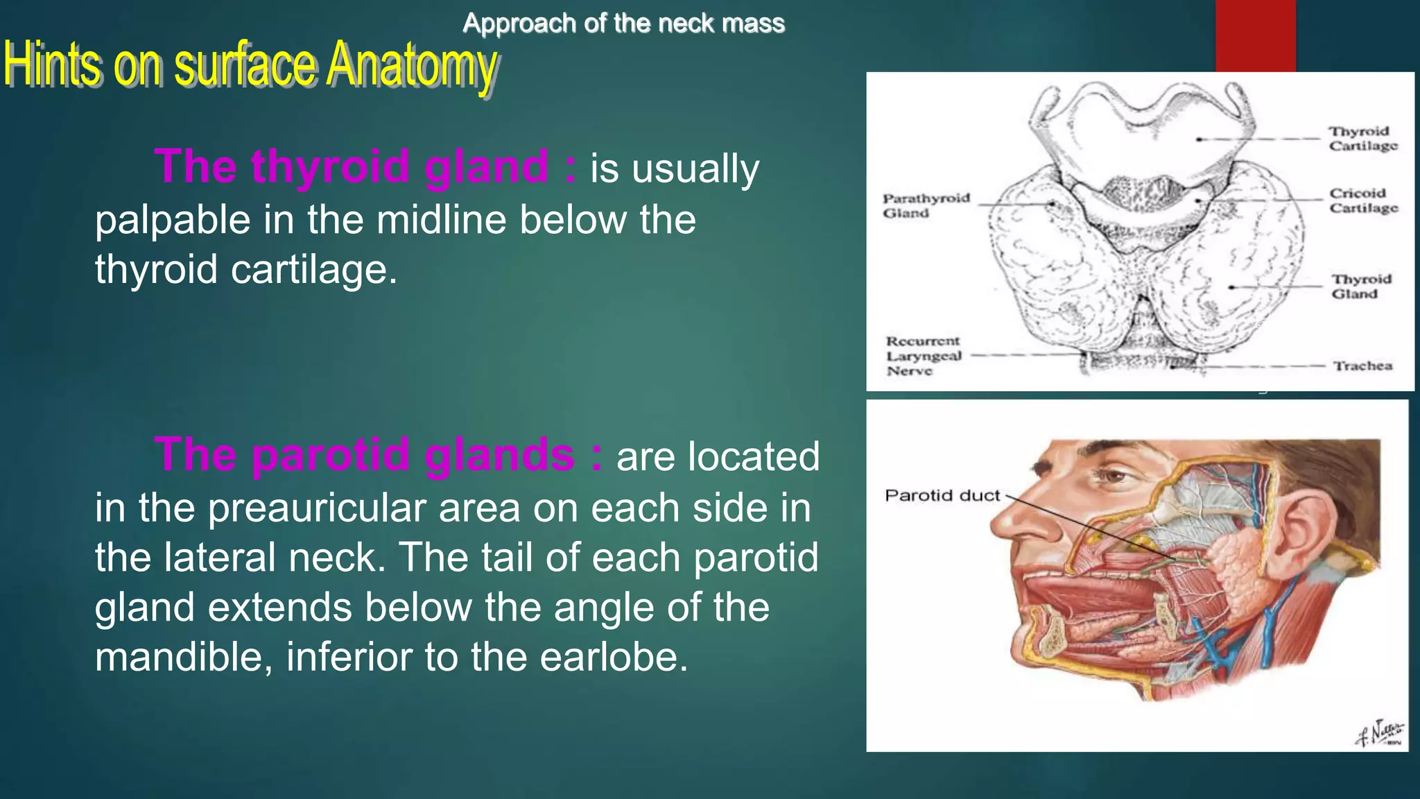 Neck mass differential diagnosis | PPTX