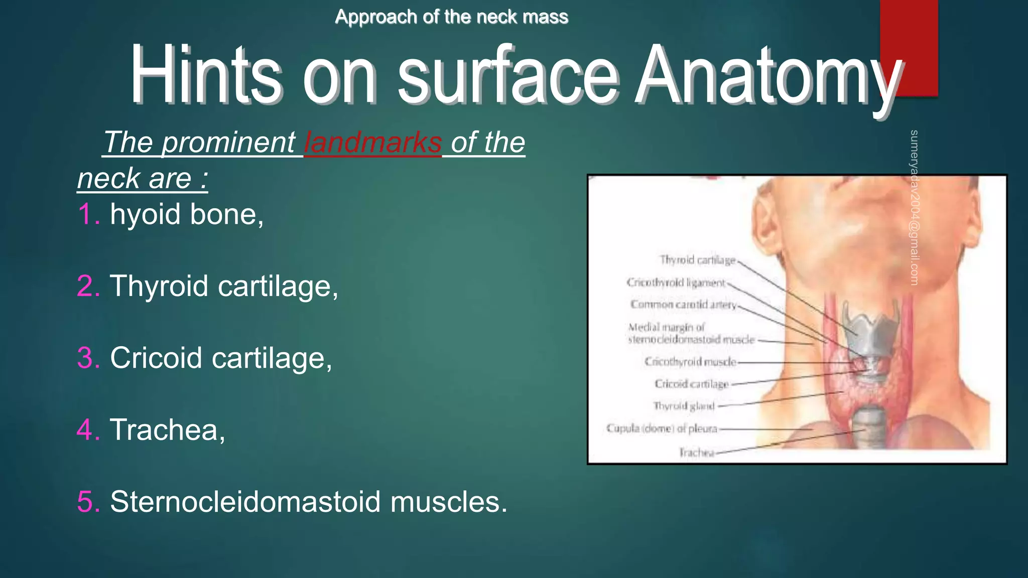 Neck Mass Differential Diagnosis Ppt