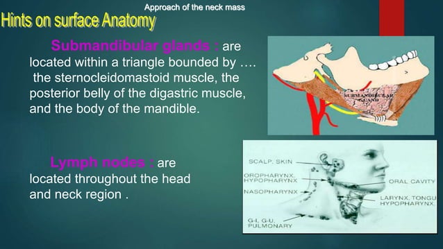 Neck mass differential diagnosis | PPTX | Thyroid Disorders | Endocrine ...