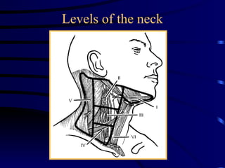 Neck mass patient approach and manegment.ppt