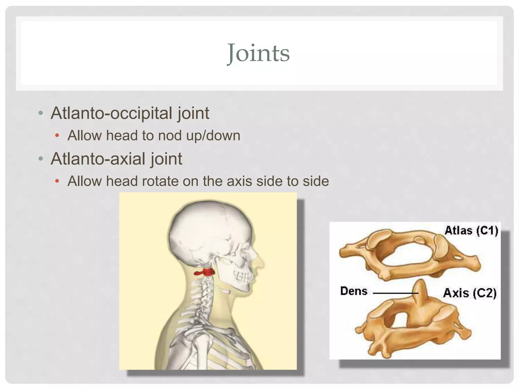 Neck muscles | PPTX