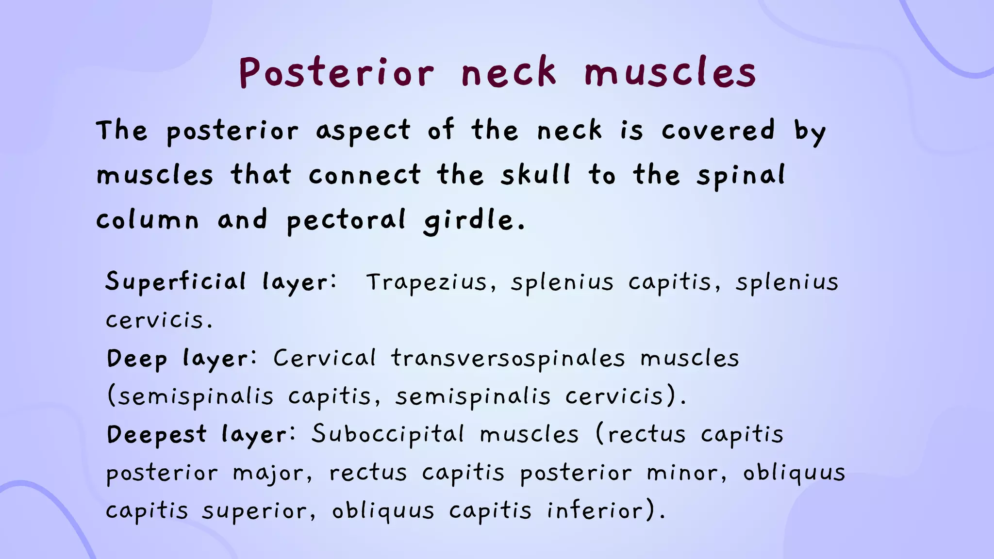 Neck Muscles | PPTX
