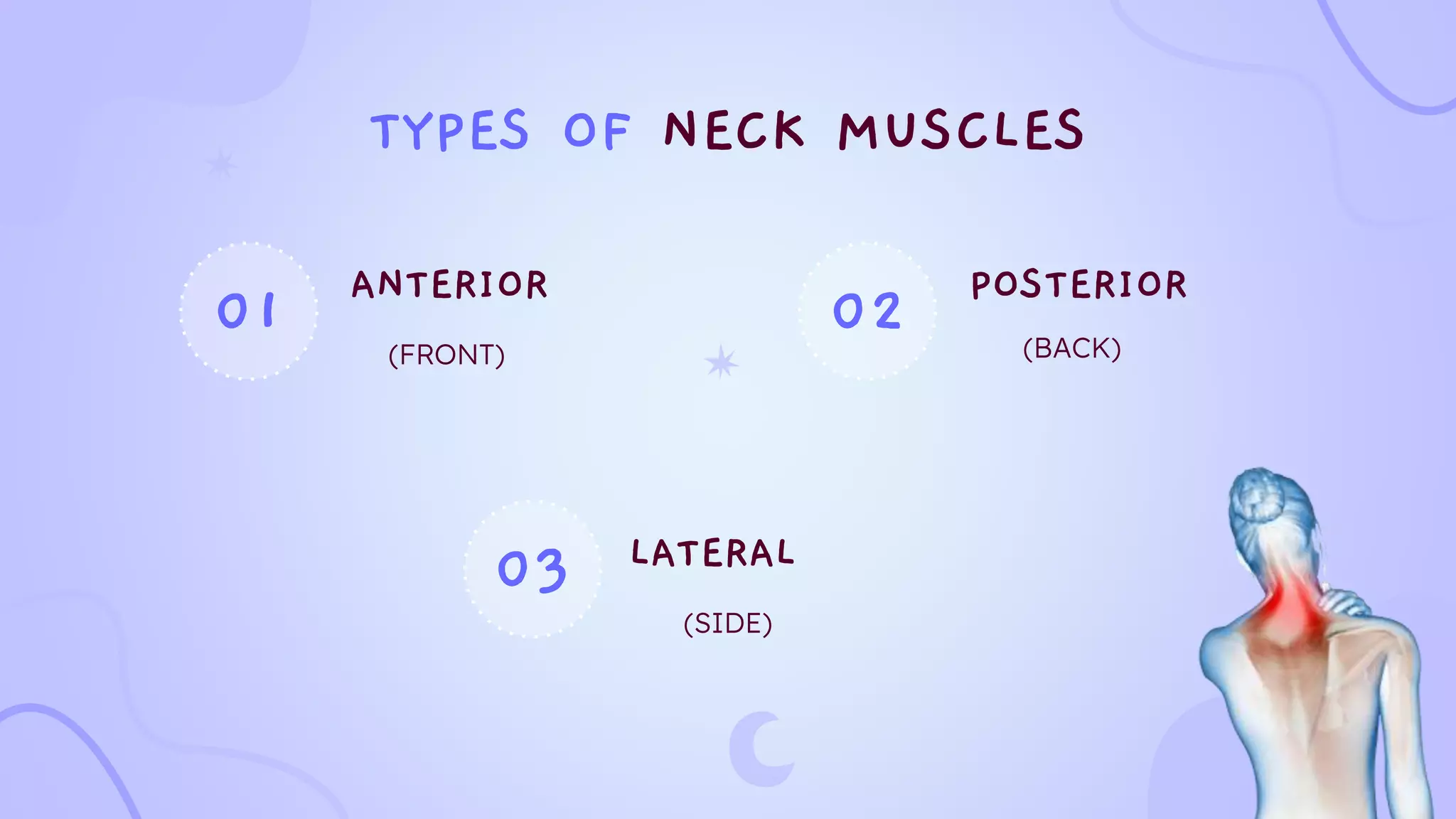 Neck Muscles | PPTX