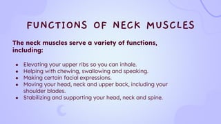 Neck Muscles | PPTX