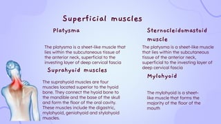 Neck Muscles | PPTX