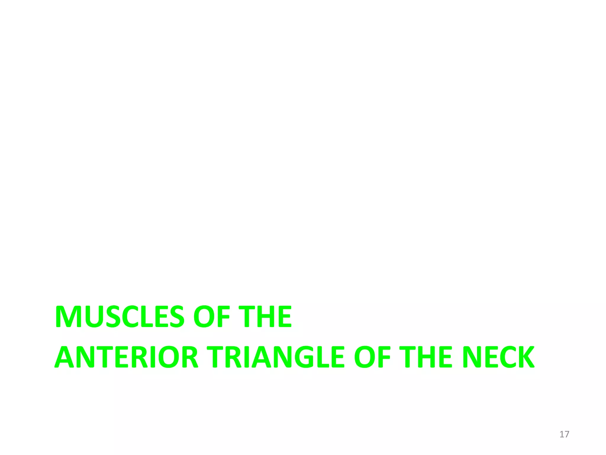 Neck muscles and triangles | PPTX | Thyroid Disorders | Endocrine and ...