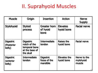 Neck muscles and triangles | PPTX