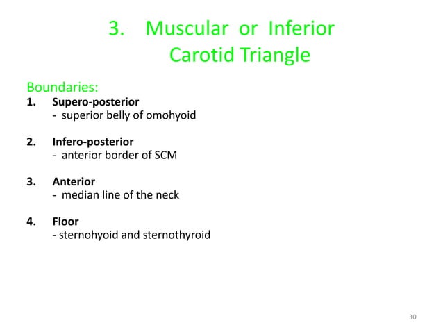 Neck muscles and triangles | PPTX | Thyroid Disorders | Endocrine and ...
