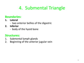 Neck muscles and triangles | PPTX