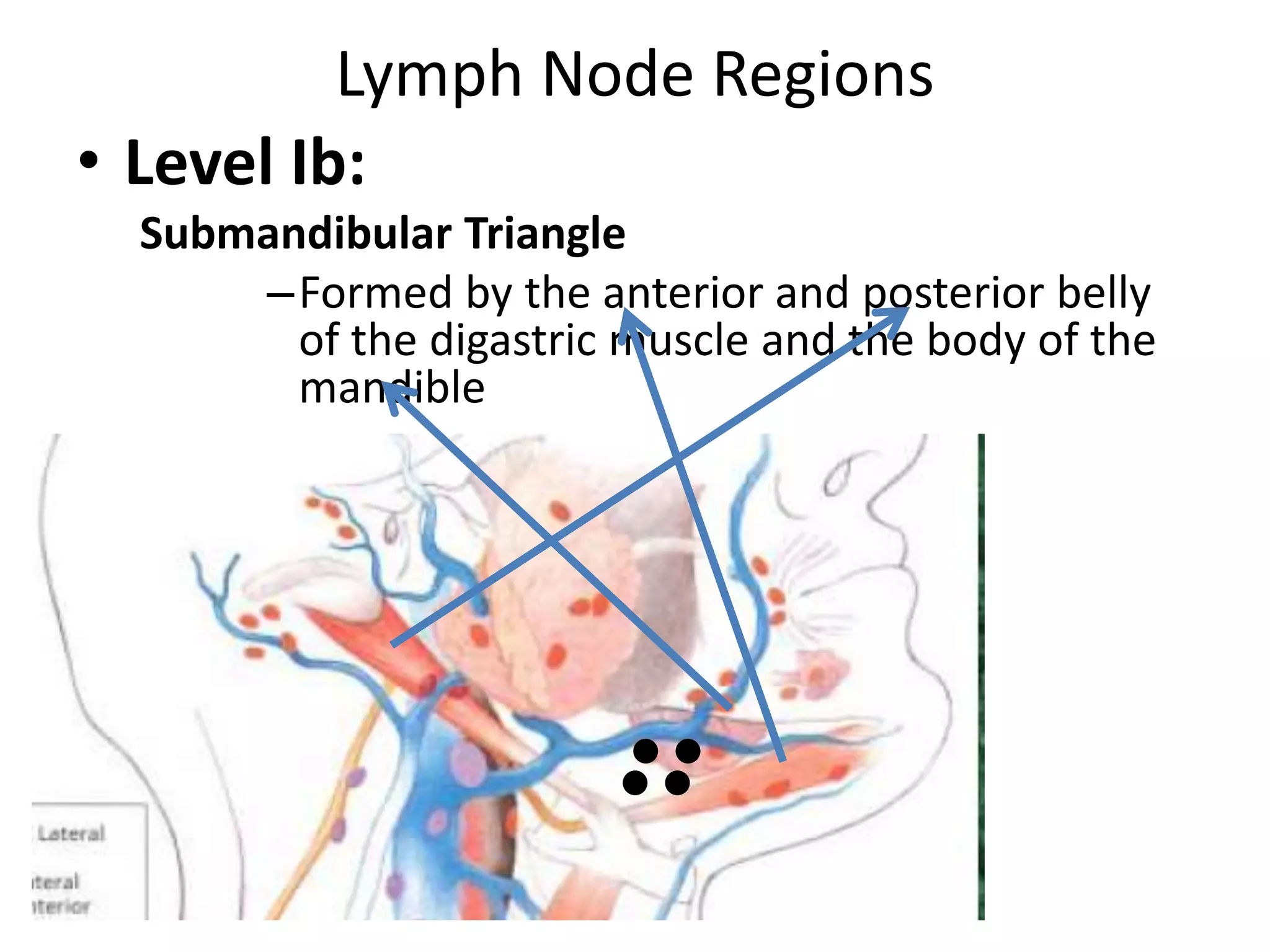 Neck node & Contouring Guidelines | PPTX
