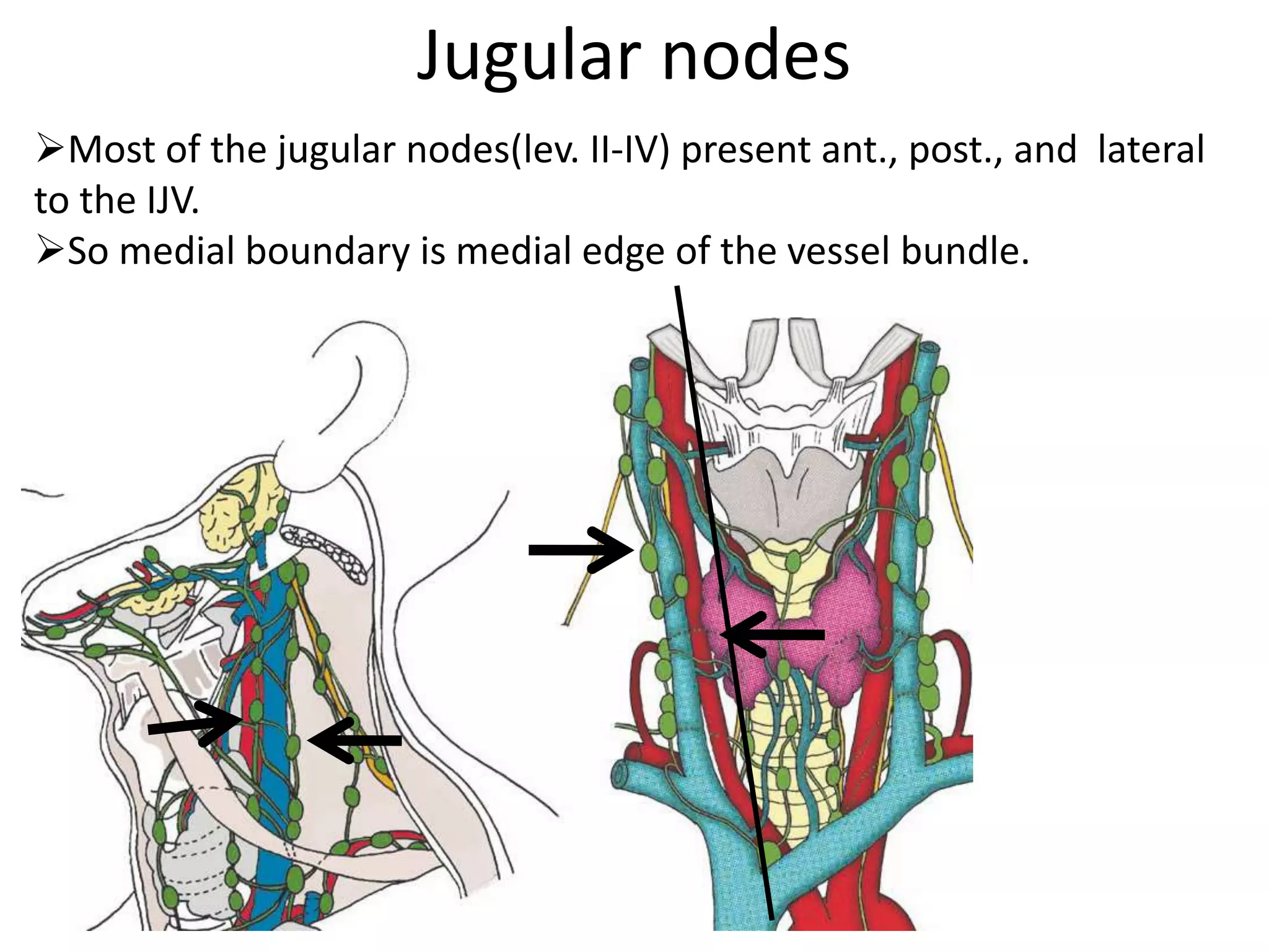 Neck node & Contouring Guidelines | PPTX