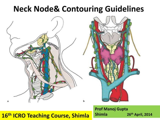 Neck node & Contouring Guidelines | PPTX