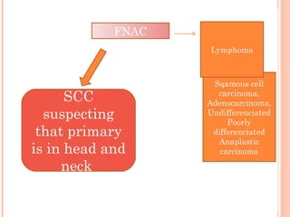Neck node management of unknown primary | PPT