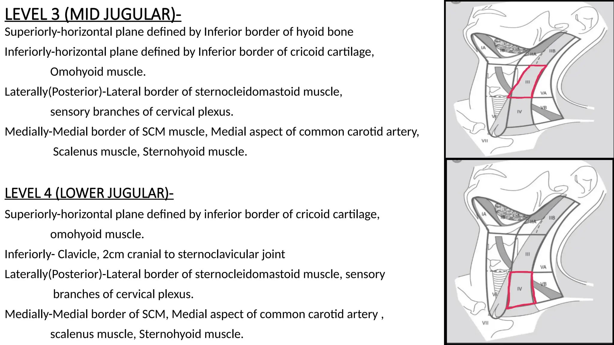 neck nodes and dissection types and lymph nodes levels | PPTX
