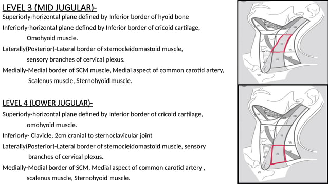 neck nodes and dissection types and lymph nodes levels | PPTX