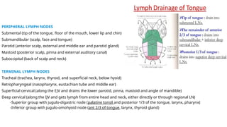 neck nodes and dissection types and lymph nodes levels | PPTX
